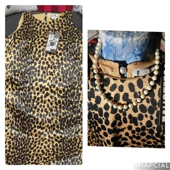 Future Collective | Dresses | Foxy Clothing Leopard Print Mini Dress ...